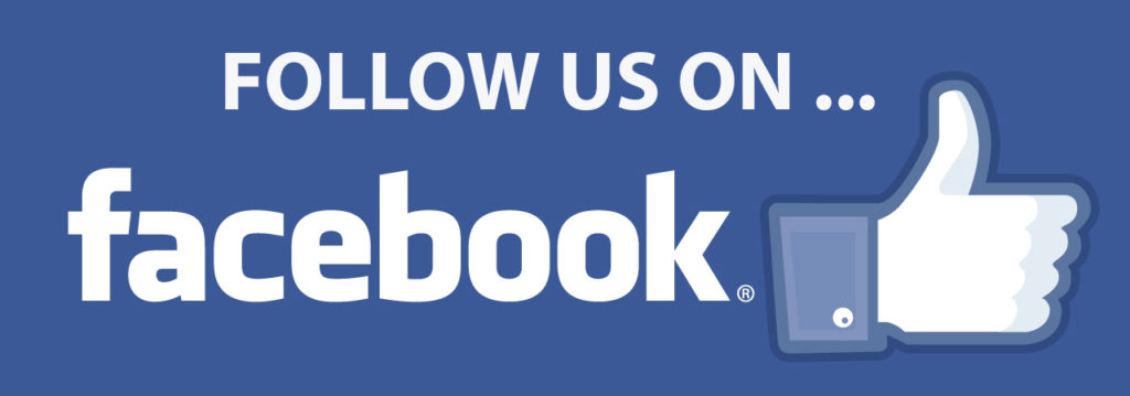 OHIO’S NEWEST INVASIVE INSECT: THE SPOTTED LANTERNFLY – Woodland ...